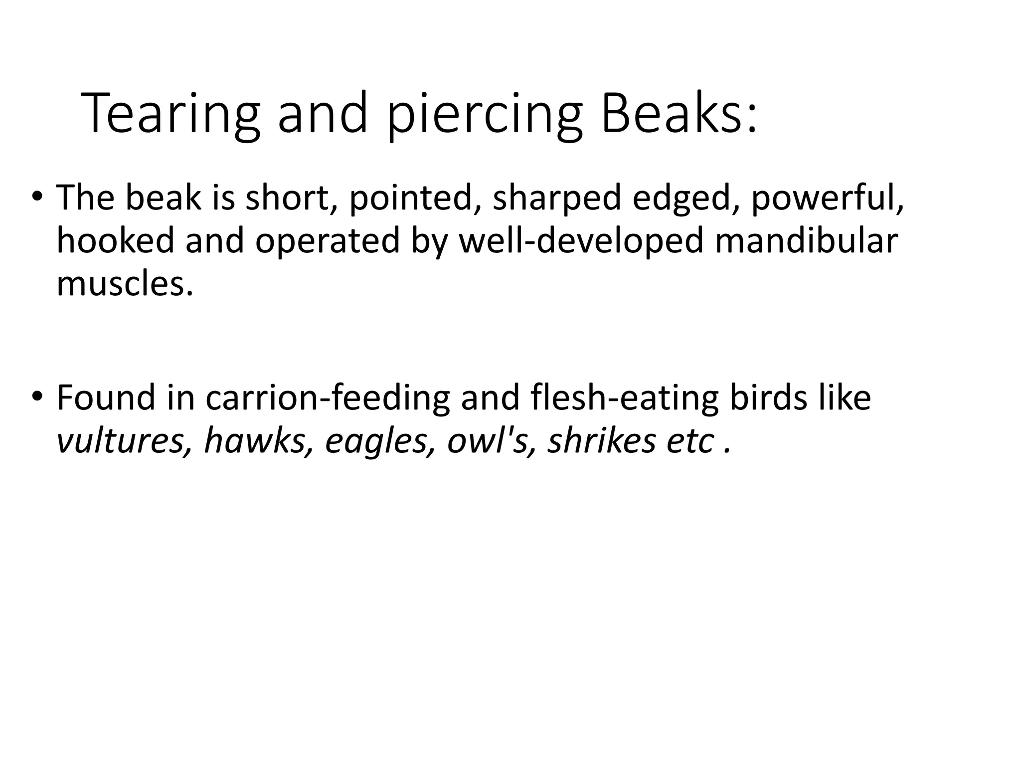 Beak adaptation in Birds | PPTX
