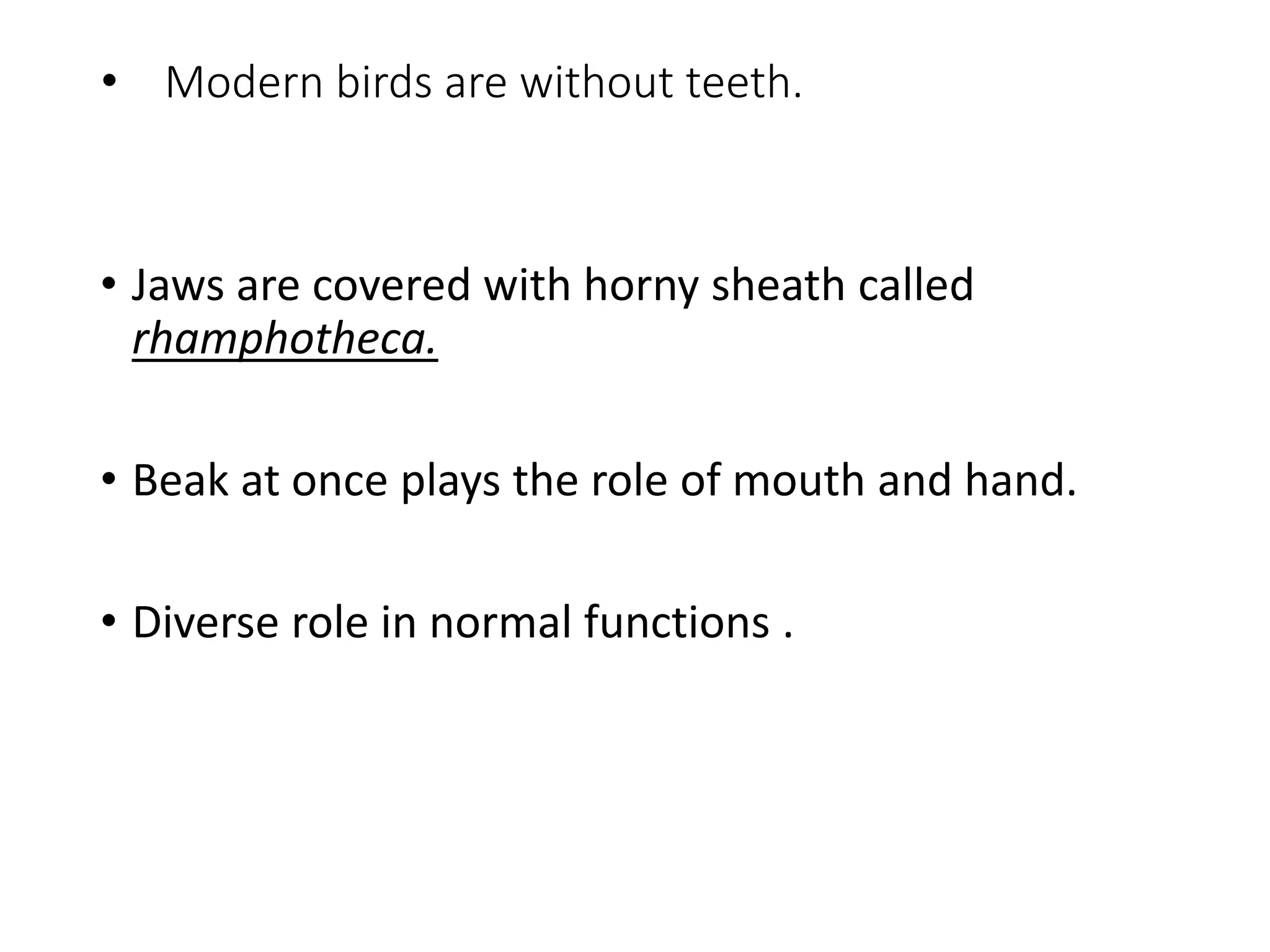 Beak adaptation in Birds | PPTX