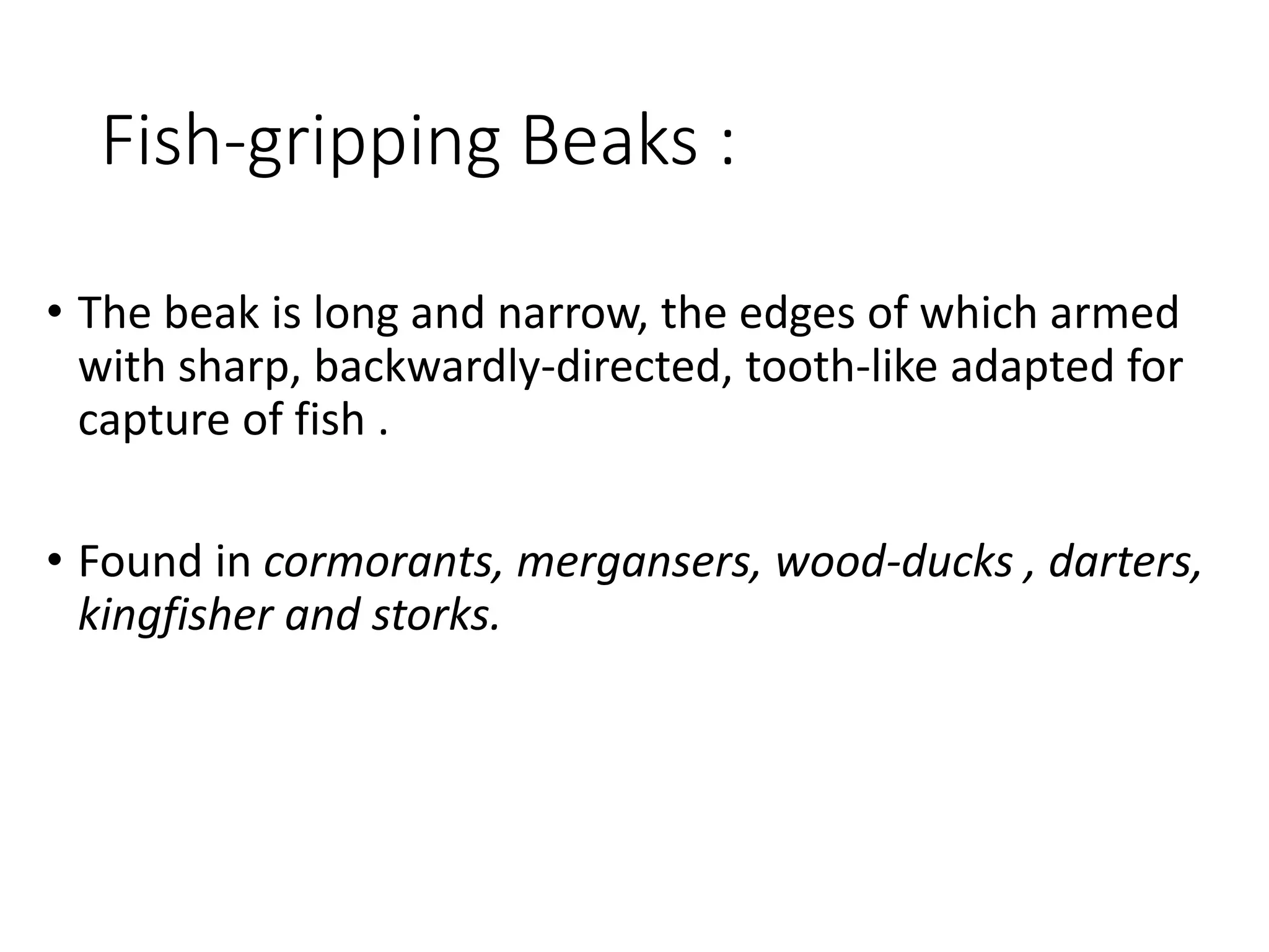 Beak adaptation in Birds | PPTX