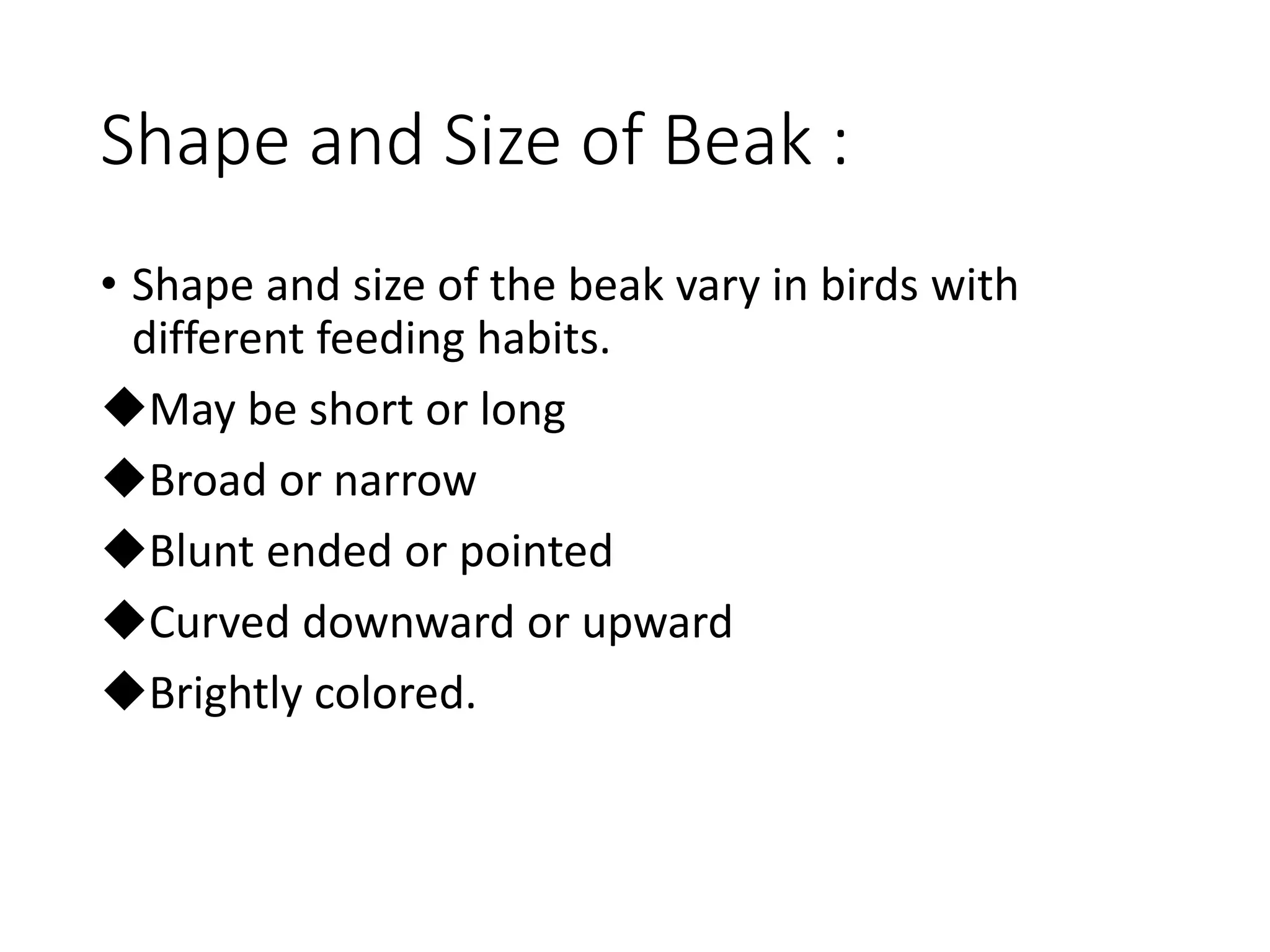 Beak adaptation in Birds | PPTX