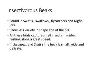 Beak adaptation in Birds | PPTX
