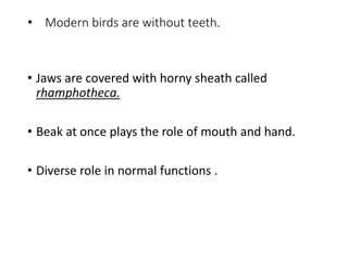Beak adaptation in Birds | PPTX