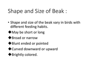 Beak adaptation in Birds | PPTX