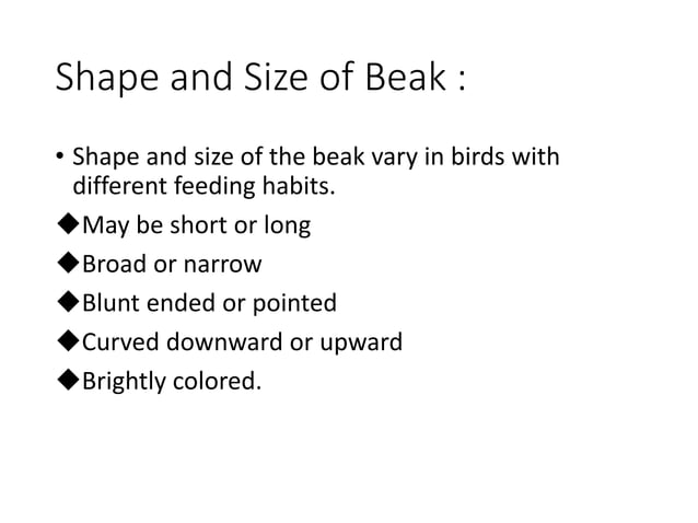 Beak adaptation in Birds | PPTX | Birdwatching | Hobbies & Interests