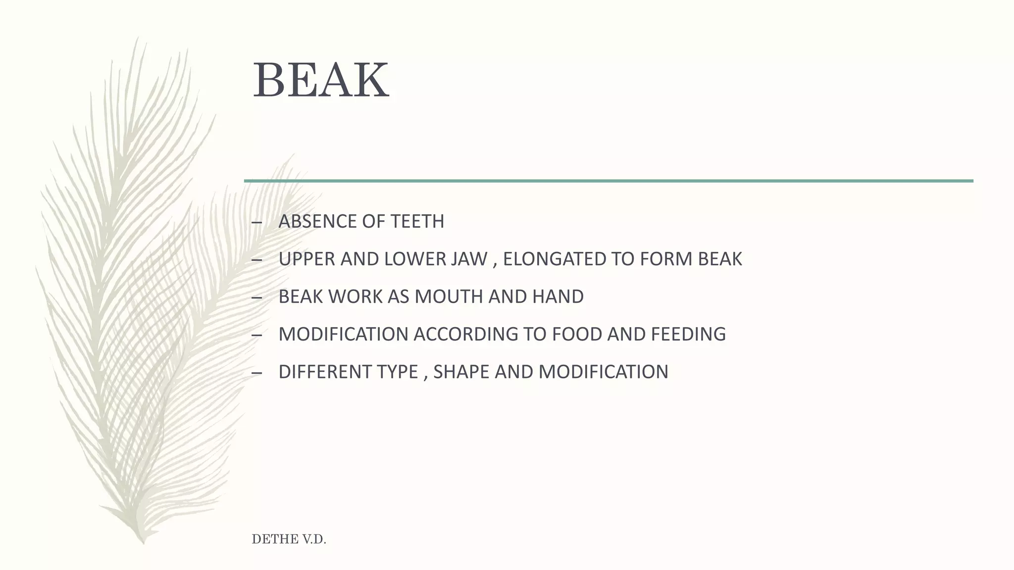 Beak and feet modification in birds | PPTX