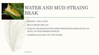 Beak and feet modification in birds | PPTX