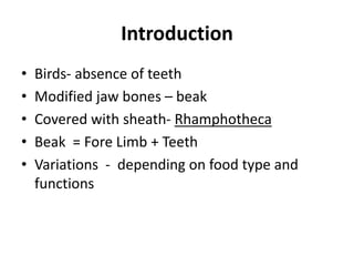 Beak modifications in birds | PPTX