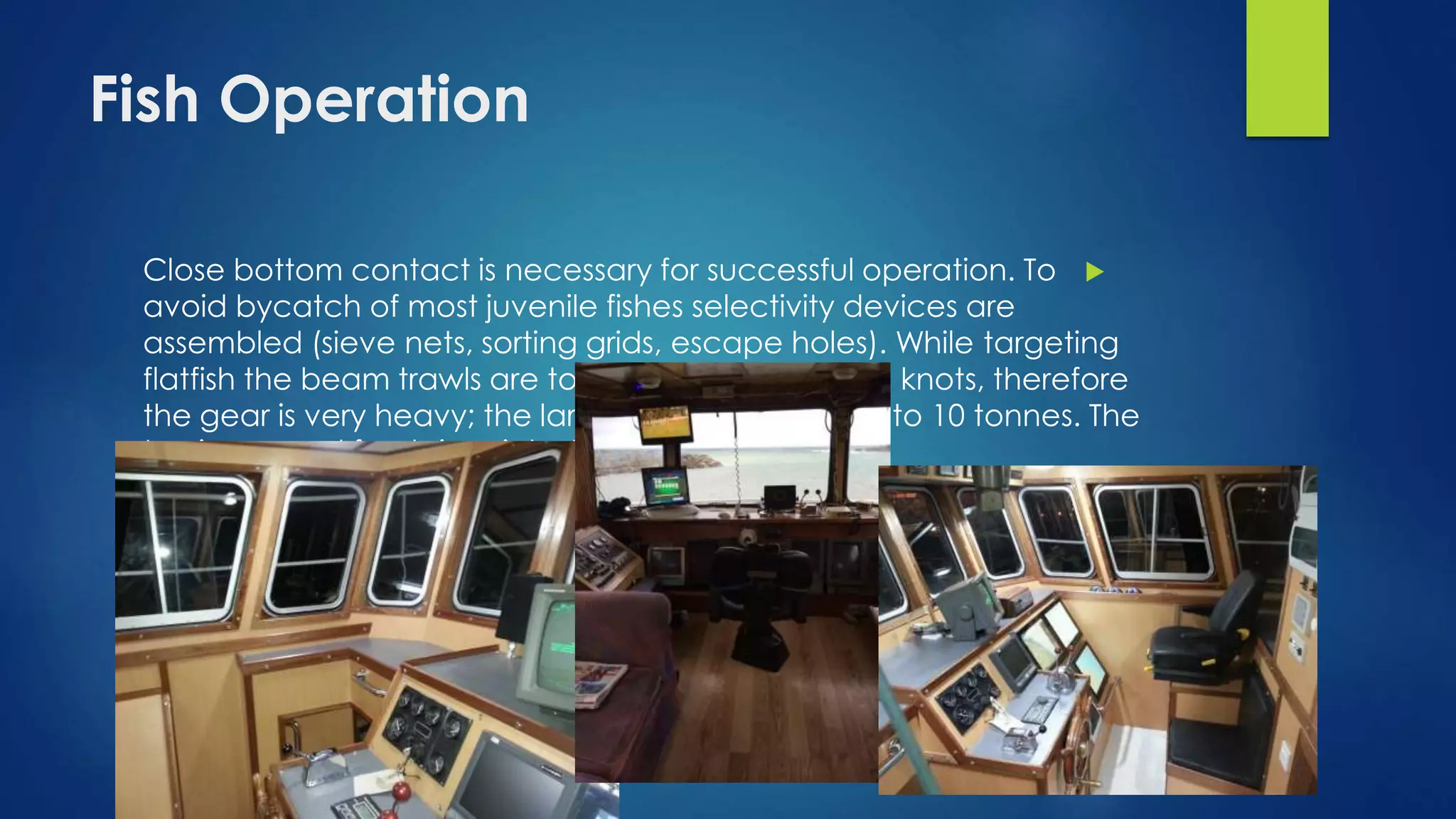 Beam trawl fisheries | PPTX