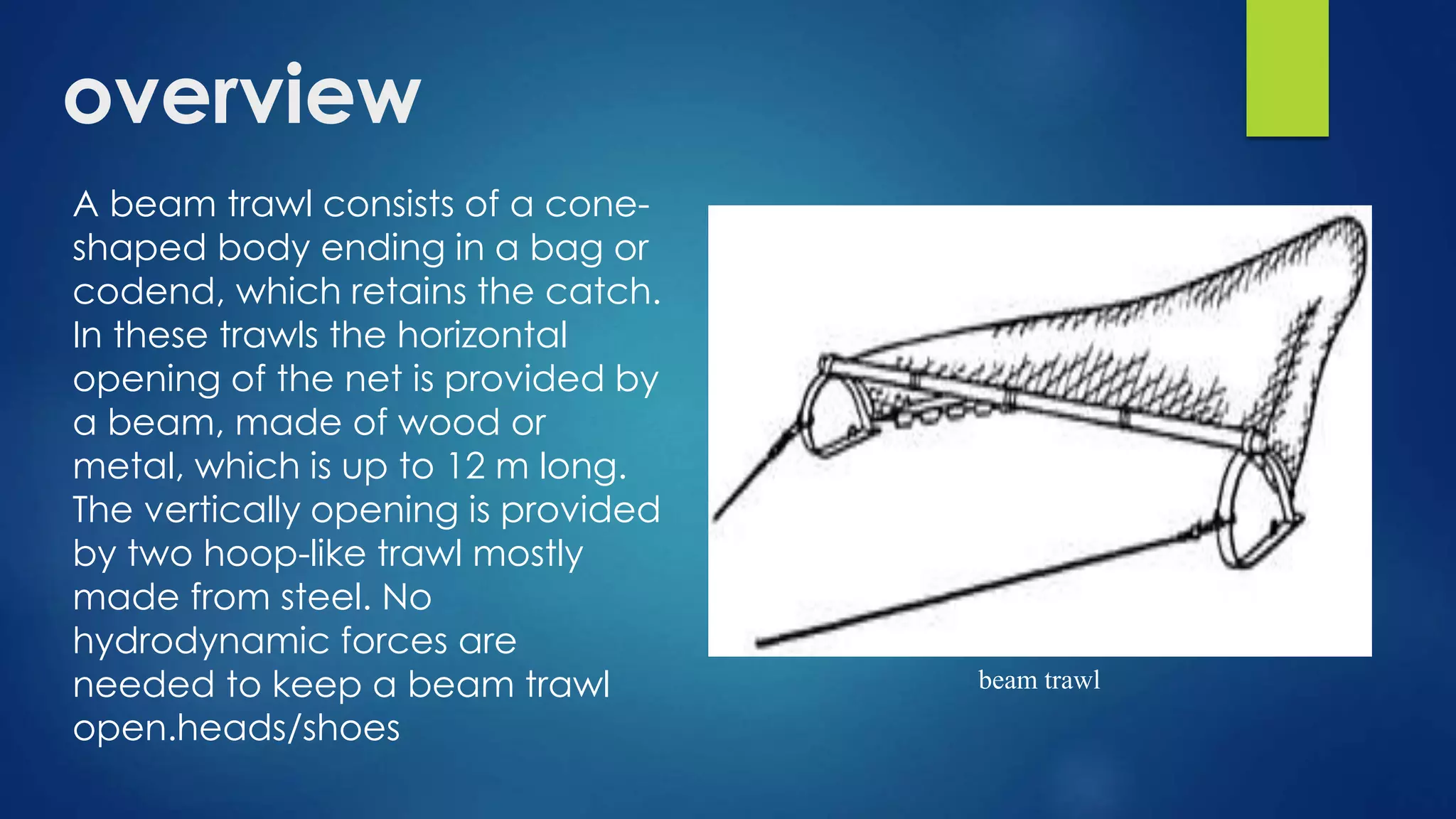 Beam trawl fisheries | PPTX