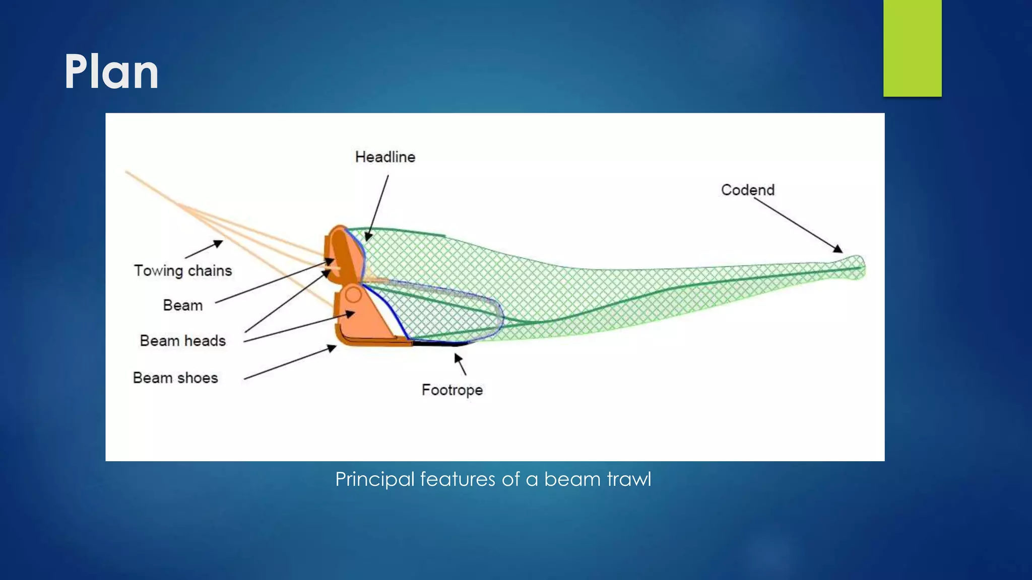 Beam trawl fisheries | PPTX
