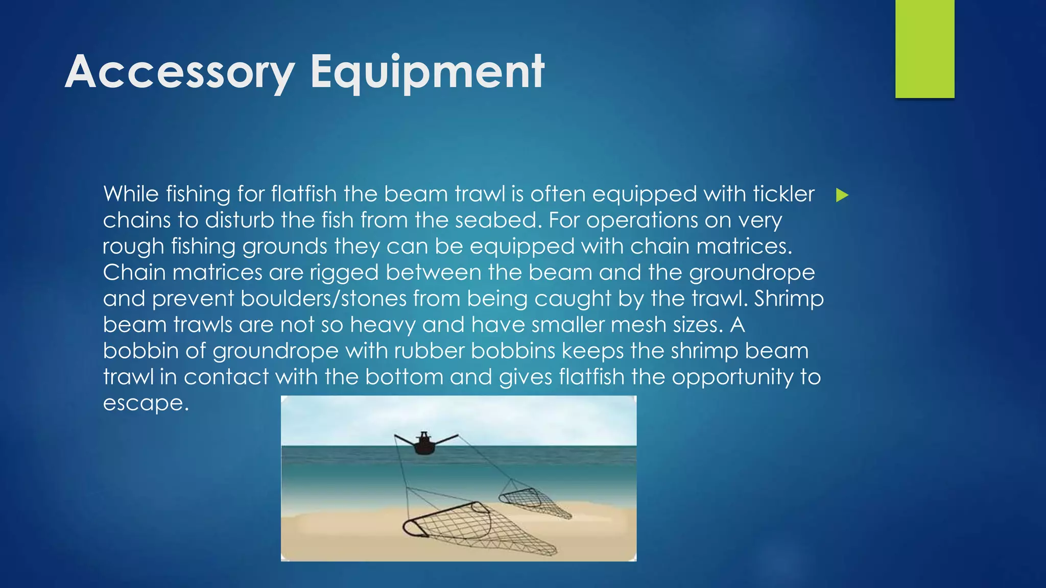 Beam trawl fisheries | PPTX