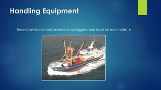 Beam trawl fisheries | PPTX
