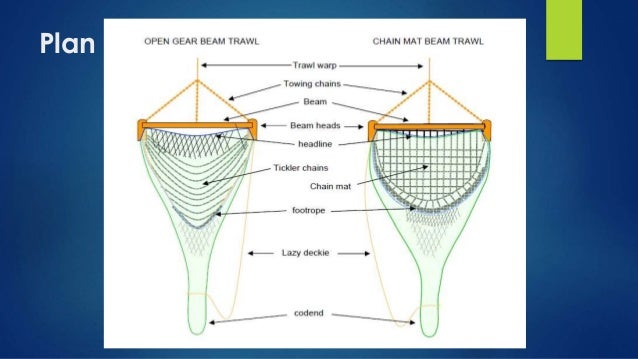 Beam trawl fisheries