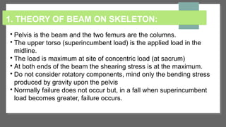 Beam and Column Theory.pptx. Dr. Tilak Francis PT (MSK) and Dr. Amra ...