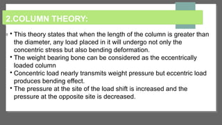Beam and Column Theory.pptx. Dr. Tilak Francis PT (MSK) and Dr. Amra ...