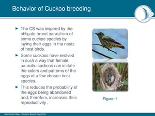 Beamer presentation template___feather_theme | PDF