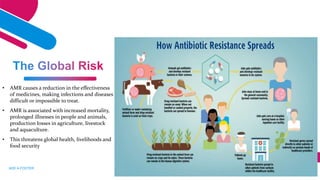 Be AMR Smart Webinar.pptx