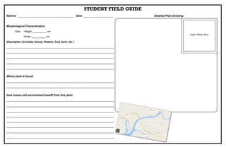 Be an ethnobotanist field guide | PPT