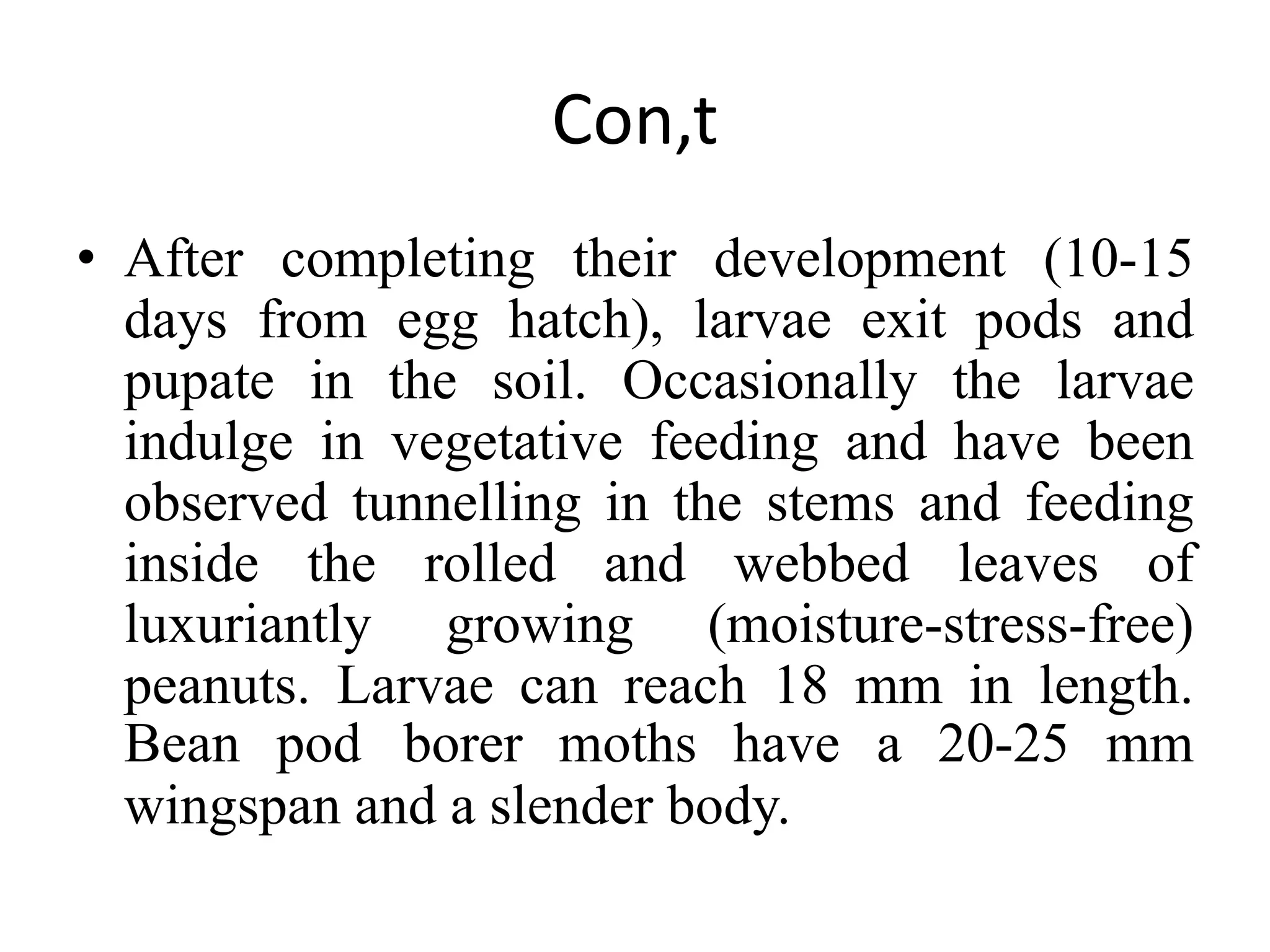 Bean pod borer (entomology) | PPTX