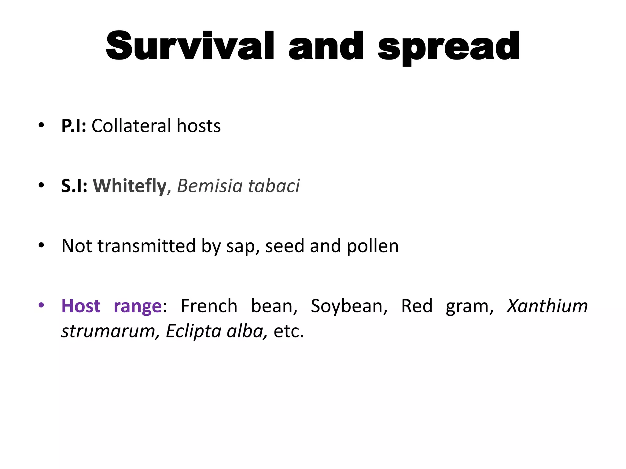 Diseases of Beans | PPTX