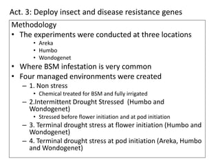 TLI 2012: Bean breeding - Ethiopia | PDF