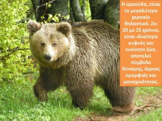 Η καφέ αρκούδα | PPTX
