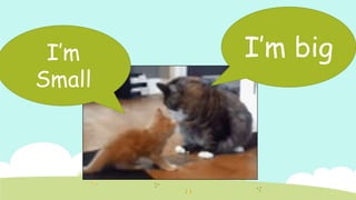 Be (Are you + I am) + Physical Description.pptx