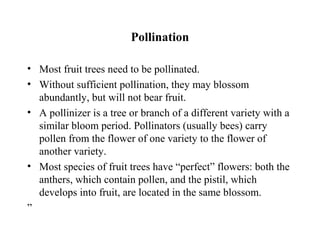 Bearing fruits | PPT