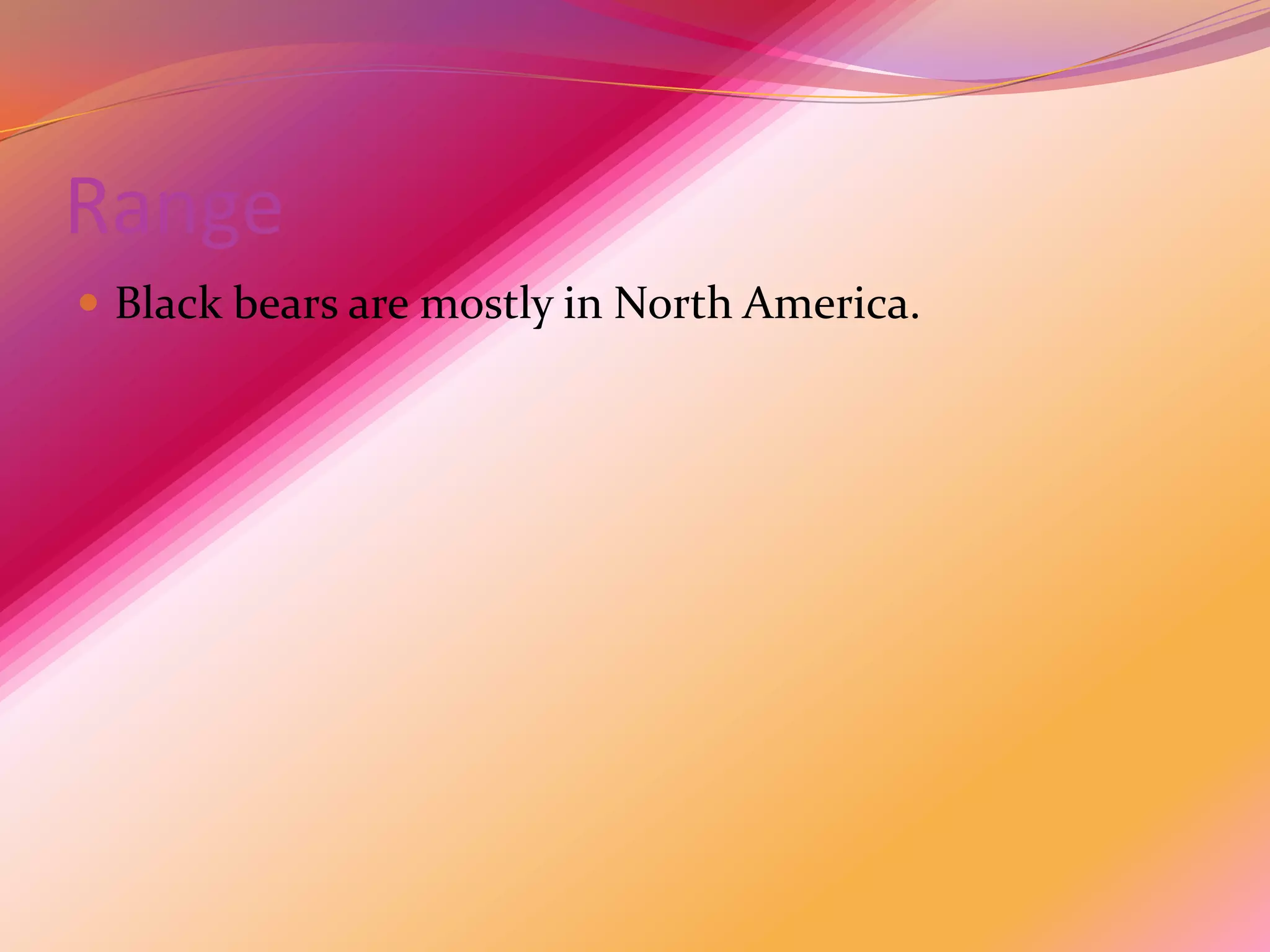 Bear powerpoint | PPT