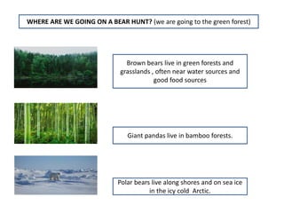 Bears of the world | PPT