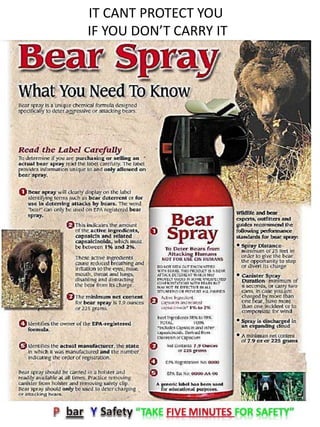 Bear spray you need to know | PPTX