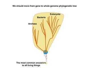 Beast dating ppt.pptx