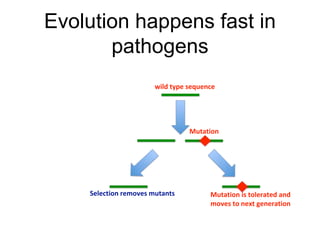 Beast dating ppt.pptx