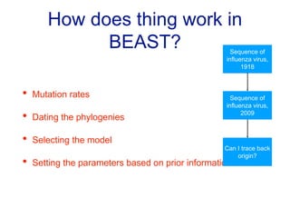 Beast dating ppt.pptx