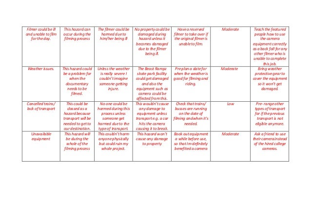 Beast rampz skatepark risk assessment