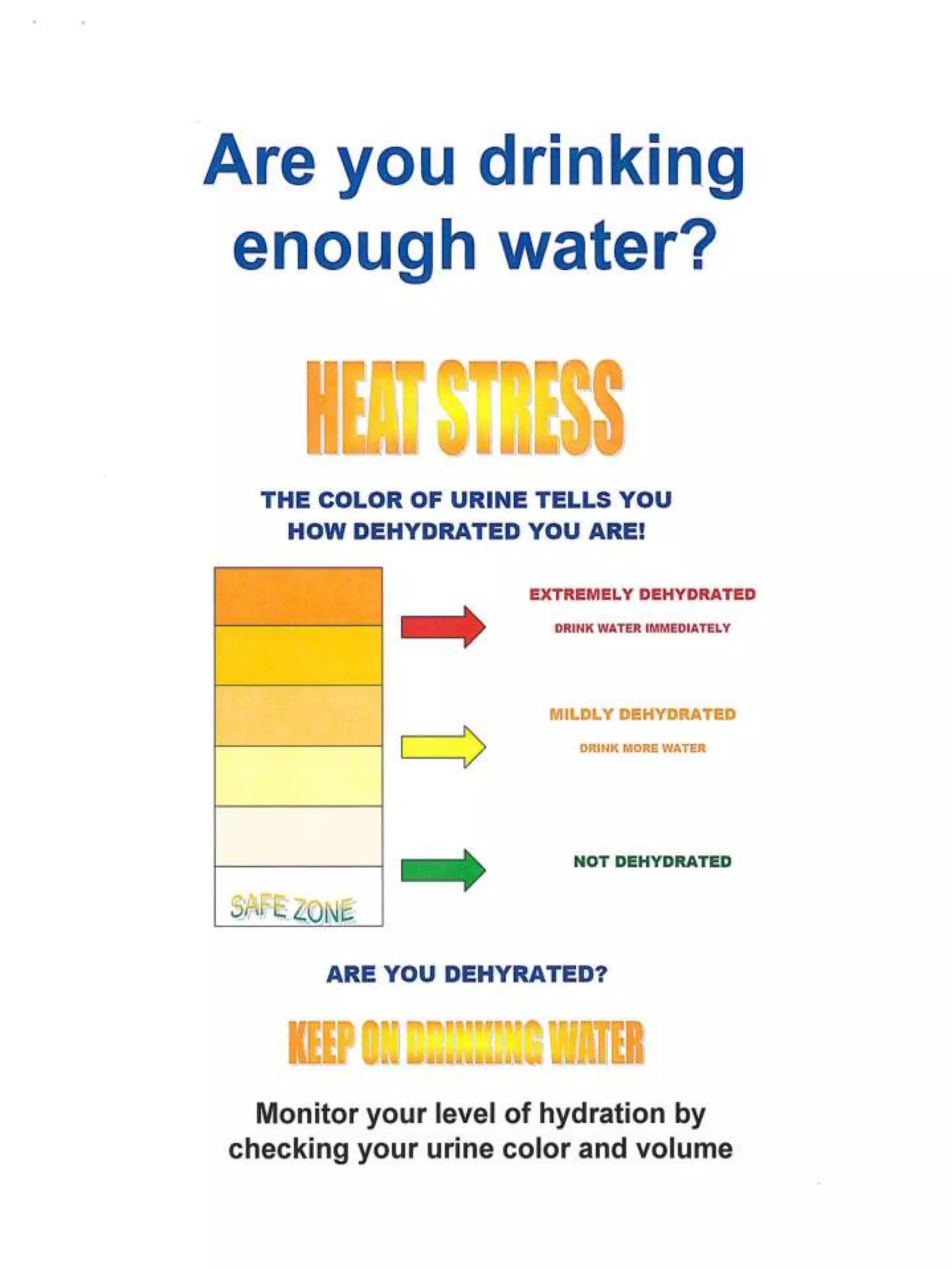 Beat the Heat Heat Stress Training | PPTX | Healthy Living