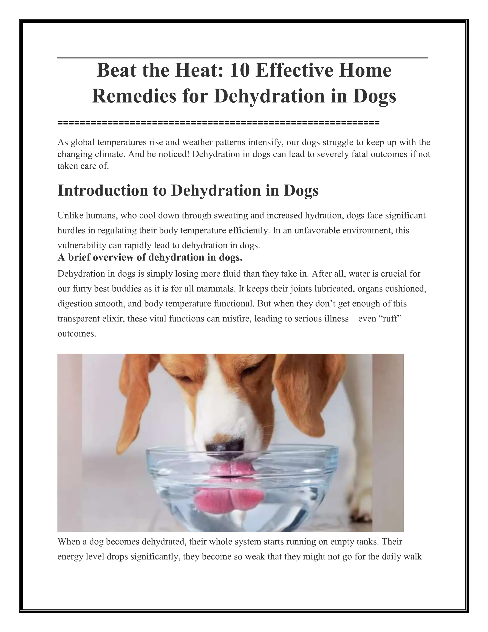 Beat the Heat: 10 Effective Home Remedies for Dehydration in Dogs.docx