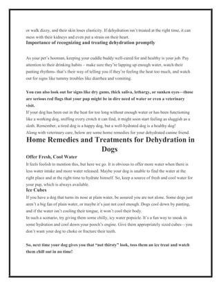 Beat the Heat: 10 Effective Home Remedies for Dehydration in Dogs.docx