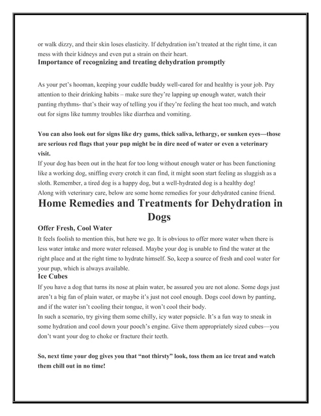 Beat the Heat: 10 Effective Home Remedies for Dehydration in Dogs.docx