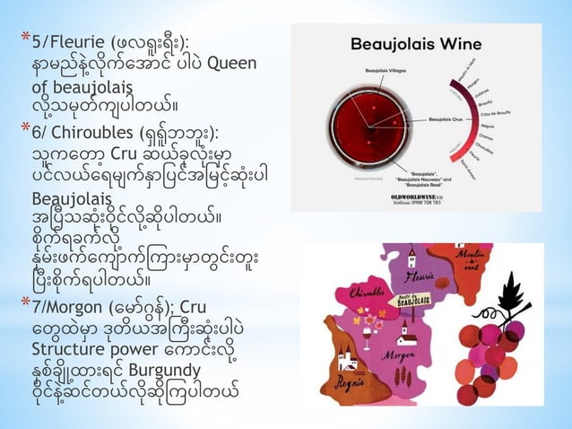 Beaujolais Wine.pptx