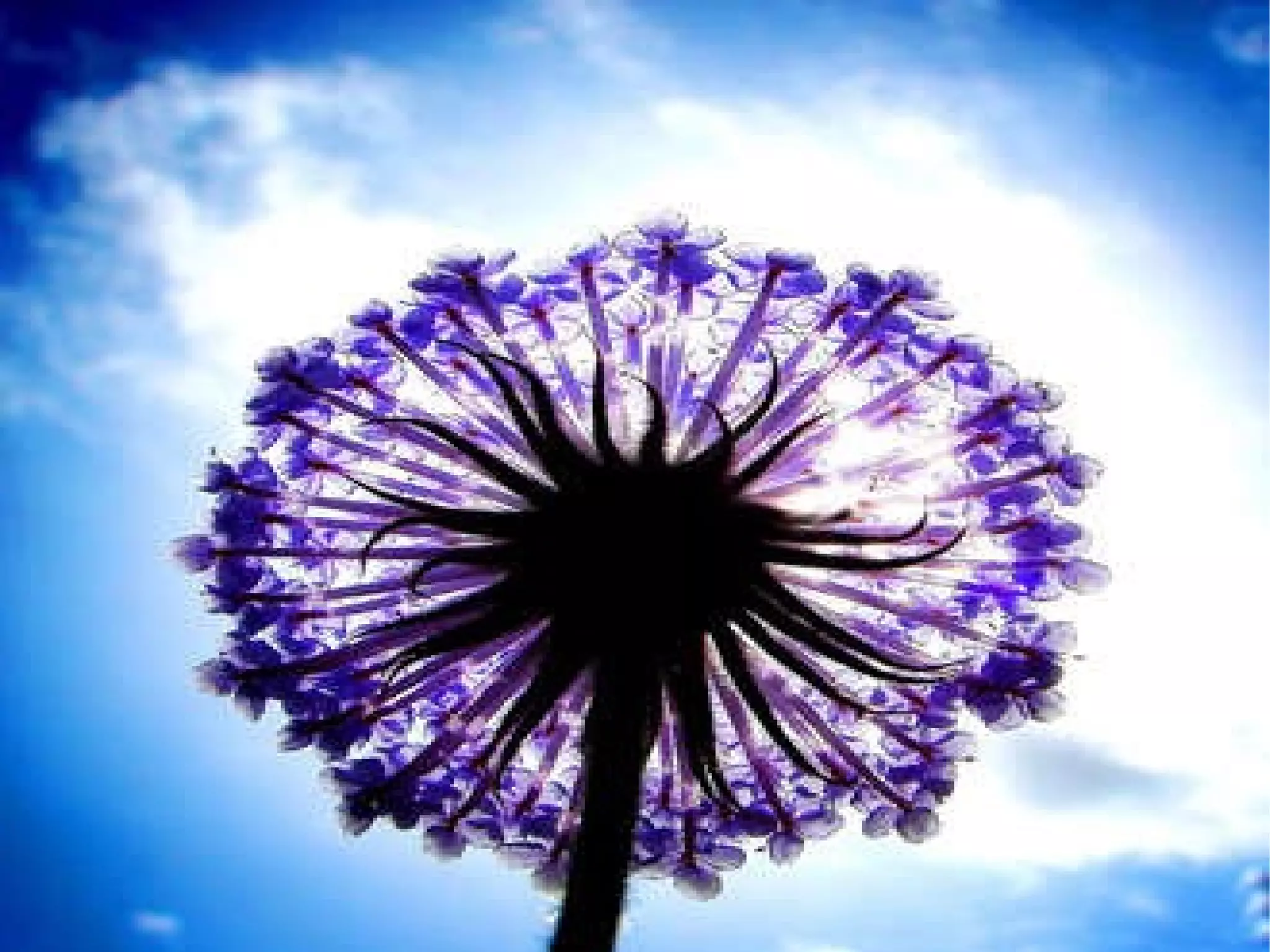 The worlds most beautiful photos in one collection | ODP