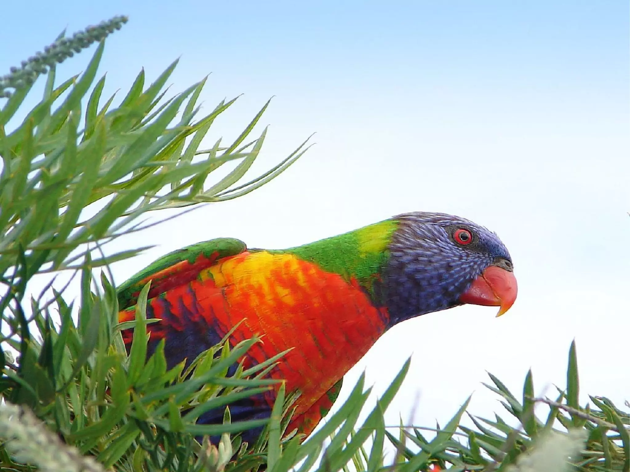 The worlds most beautiful photos in one collection | ODP