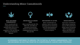 A Deep Dive into Minor Cannabinoids in Cancer Care.pdf