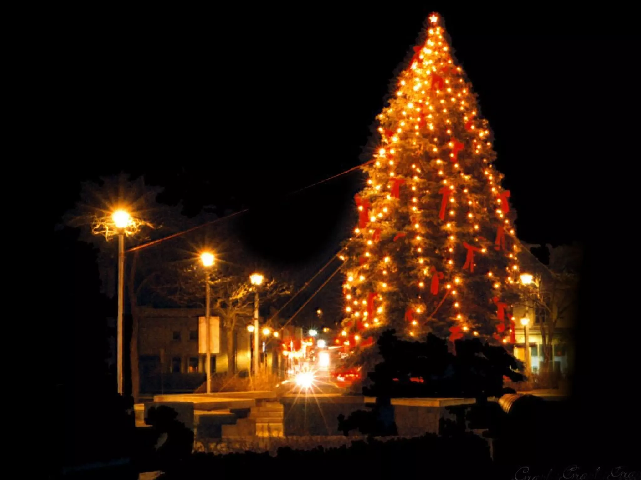 Beautiful Crismas Trees | PPT