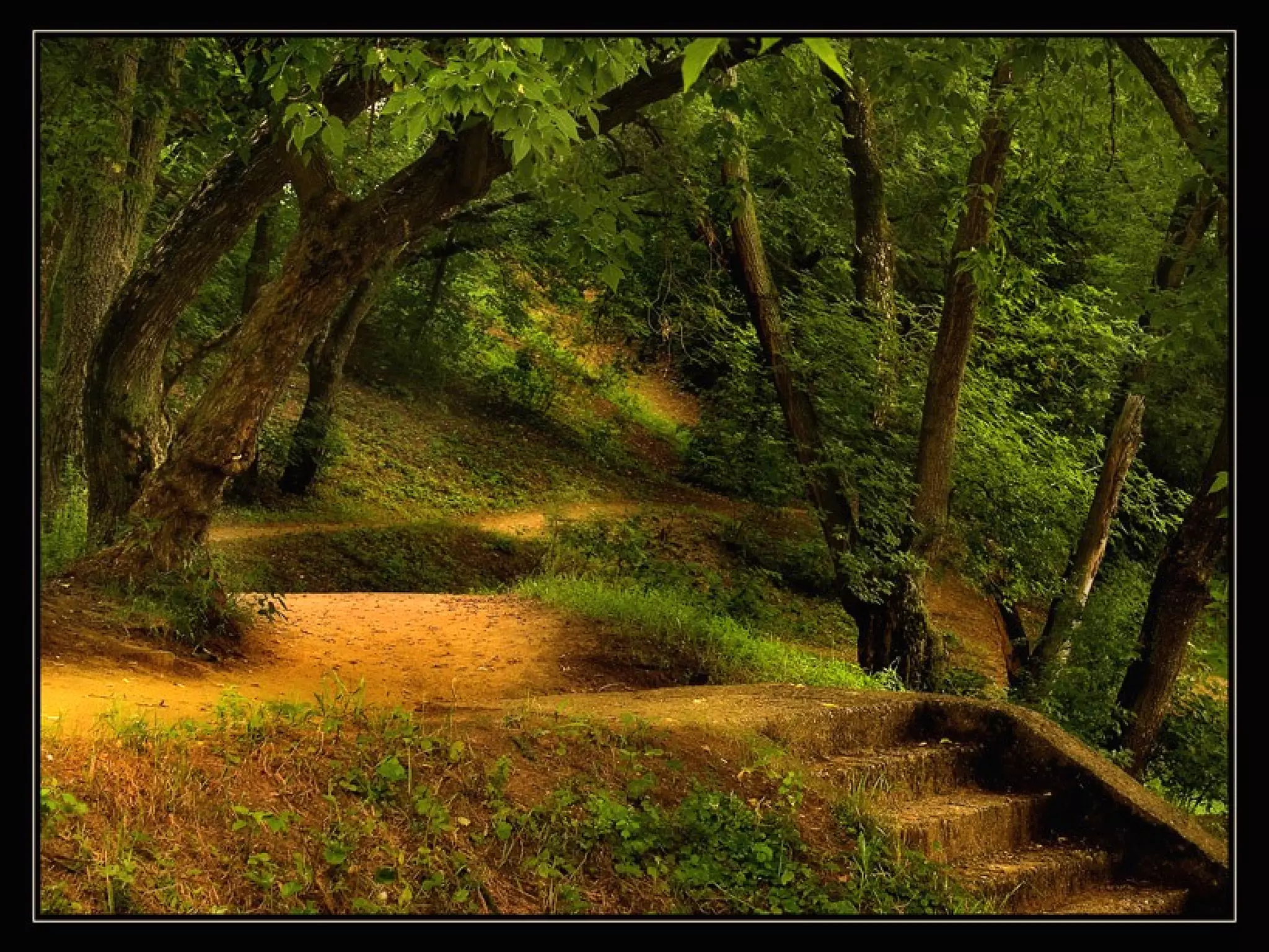 Beautiful Outdoor Photos | PPS