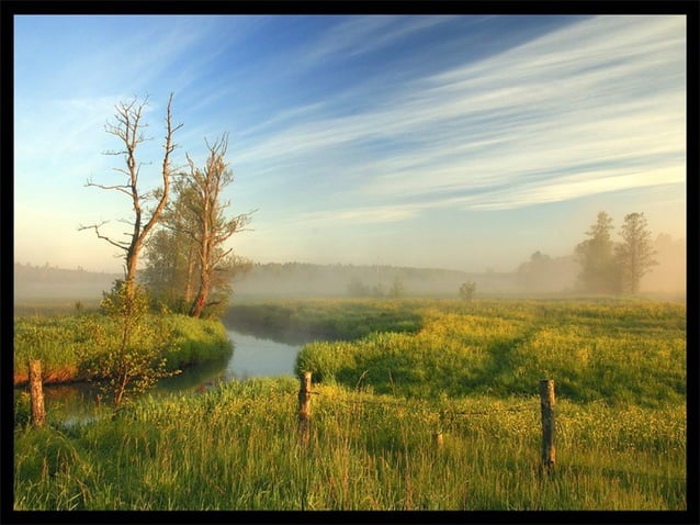 Beautiful Outdoor Photos | PPS