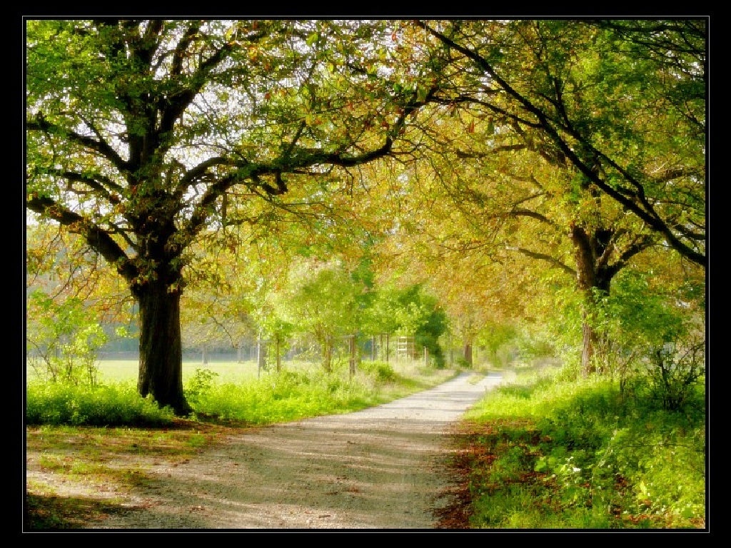 Beautiful Outdoor Photos