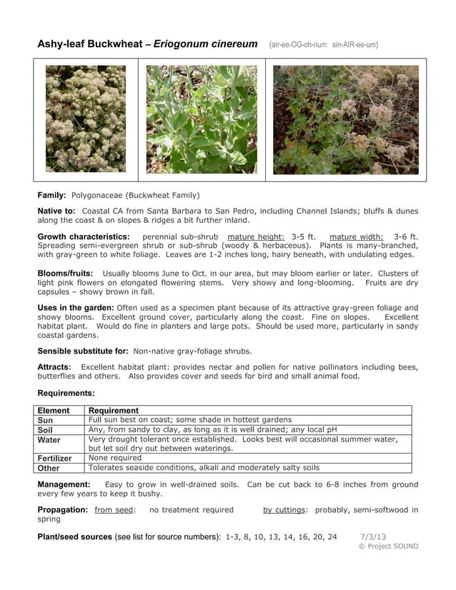Beautiful butterflies 2013 - plant info sheets | PDF