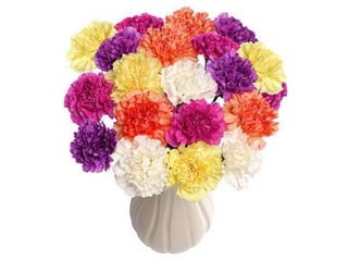 Beautiful Carnation | PPSX