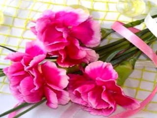 Beautiful Carnation | PPSX